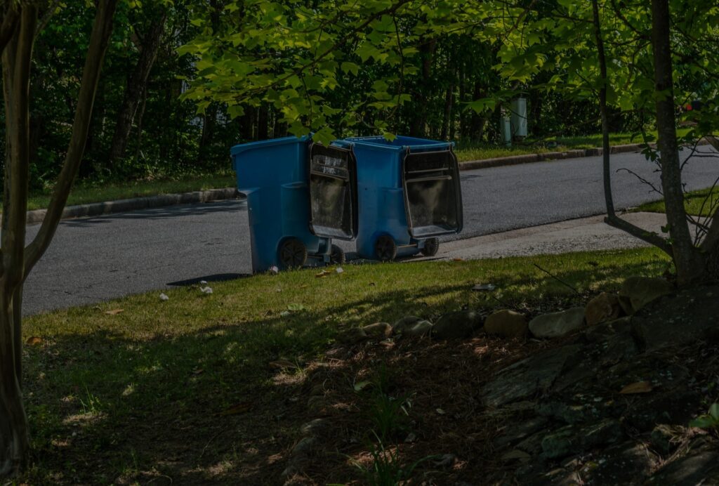 Missed Trash Collections and Waste Management | Dumpster Rentals in Florida